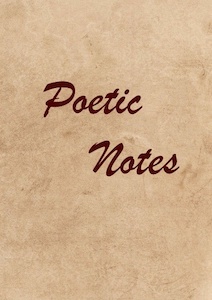 Poetic Notes • Prism Poetry Books